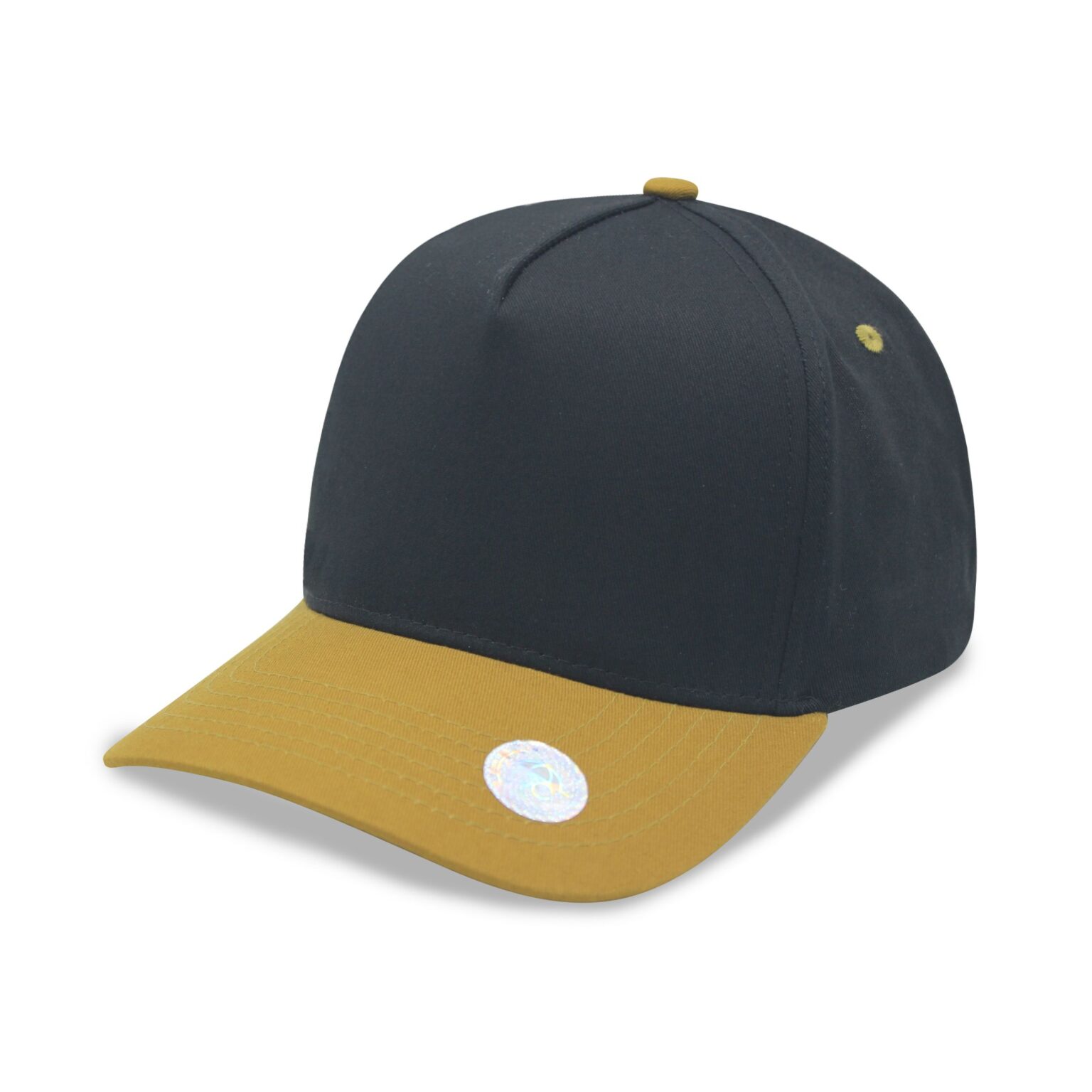 5 Panels 2Tone Snapback Cap(6522)