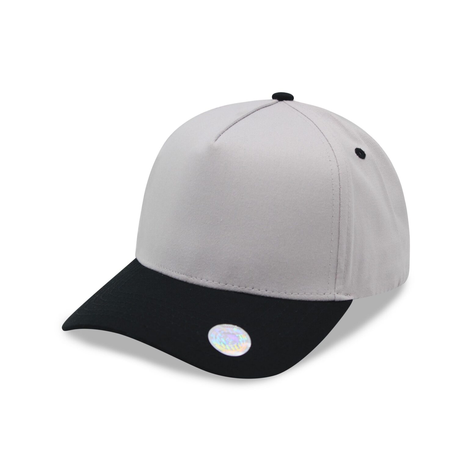 5 Panels 2Tone Snapback Cap(6522)